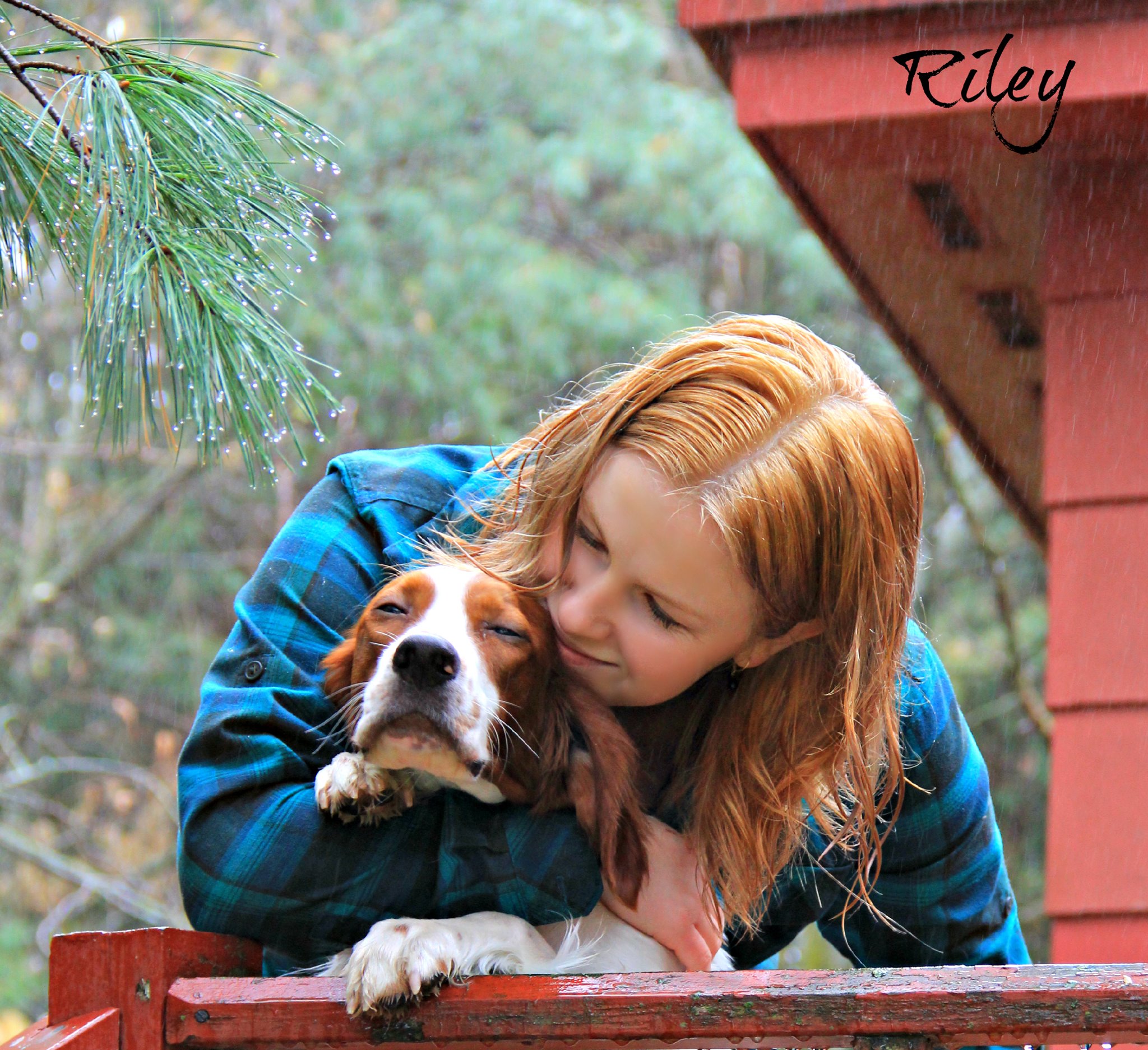 Nya Star - Wisconsin Clumber Spaniel, English Cocker Spaniel, Irish Red ...